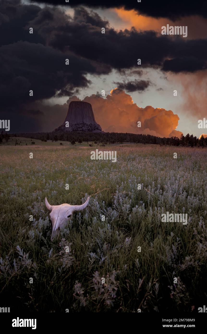 USA, Wyoming, Rocky Mountains, Crook County, Devils Tower, National ...