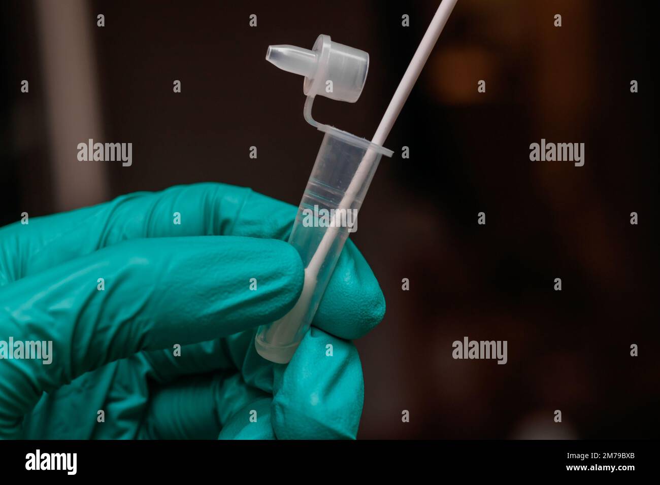 A closeup of a doctor putting a swab in a test tube Stock Photo - Alamy