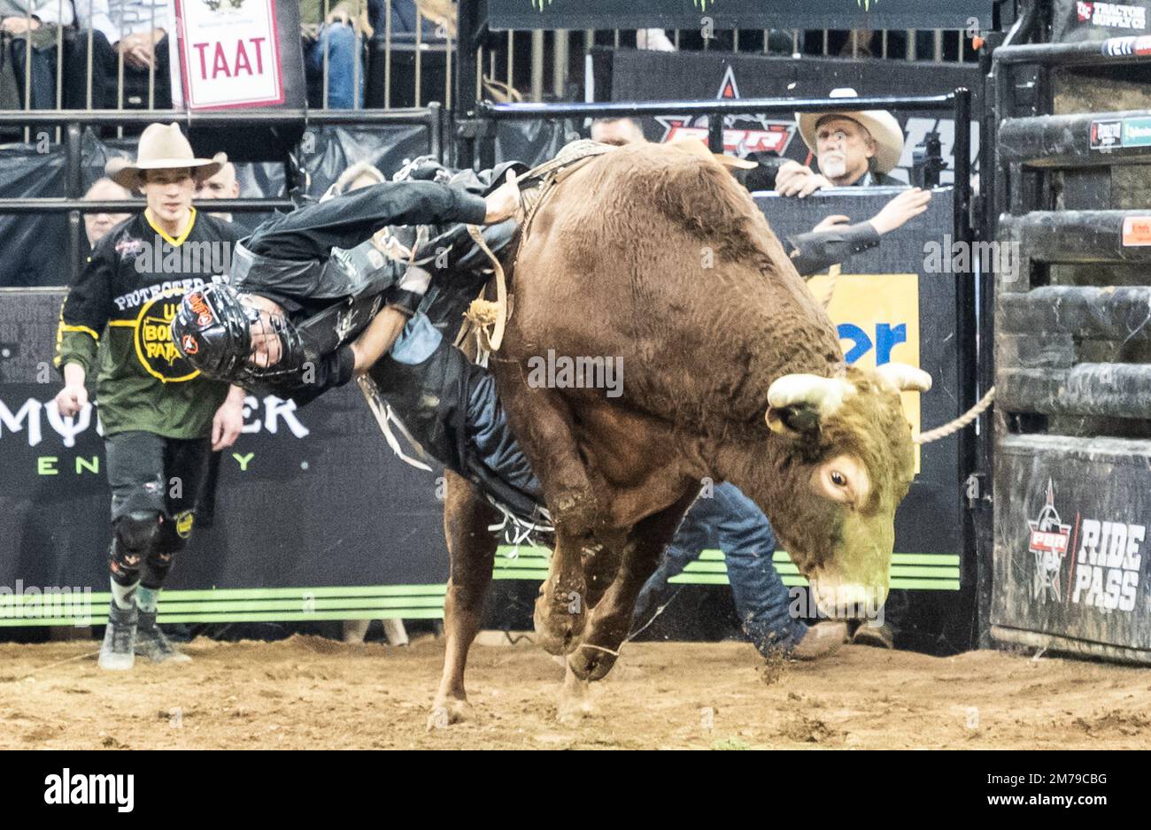January 7, 2023, New York, New York, U.S: Professional bull rider ...
