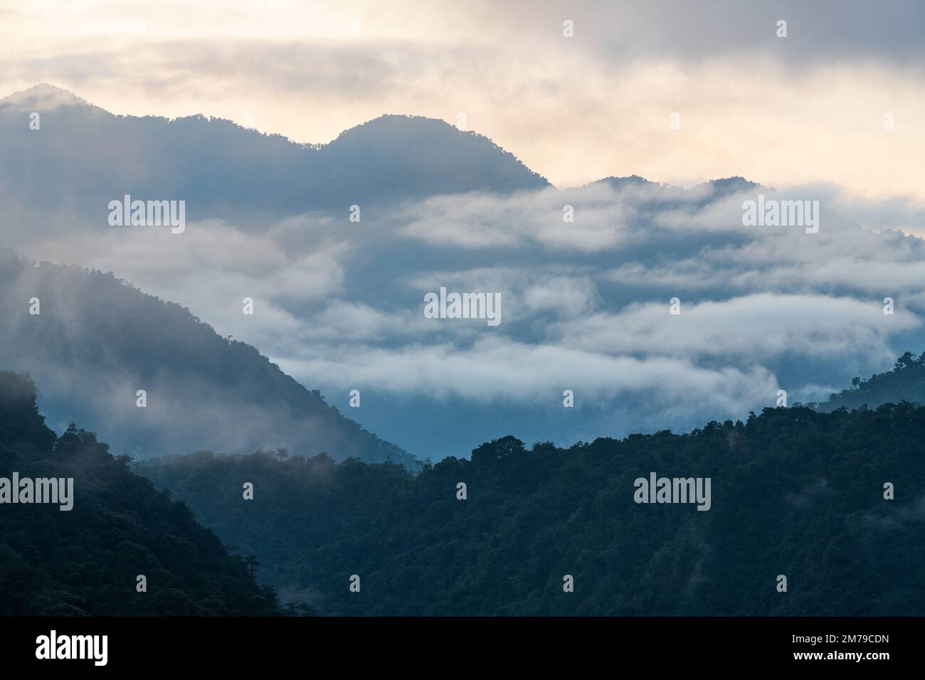 Cloud forest at sunrise, Mindo, Ecuador Stock Photo - Alamy