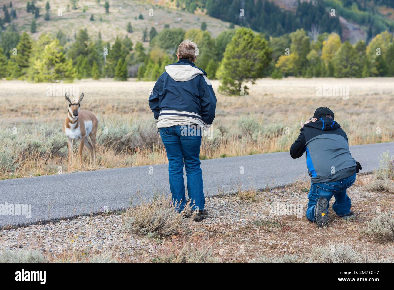 USA,Wyoming, Rocky Mountains, Teton County, Grand Teton National Park ...
