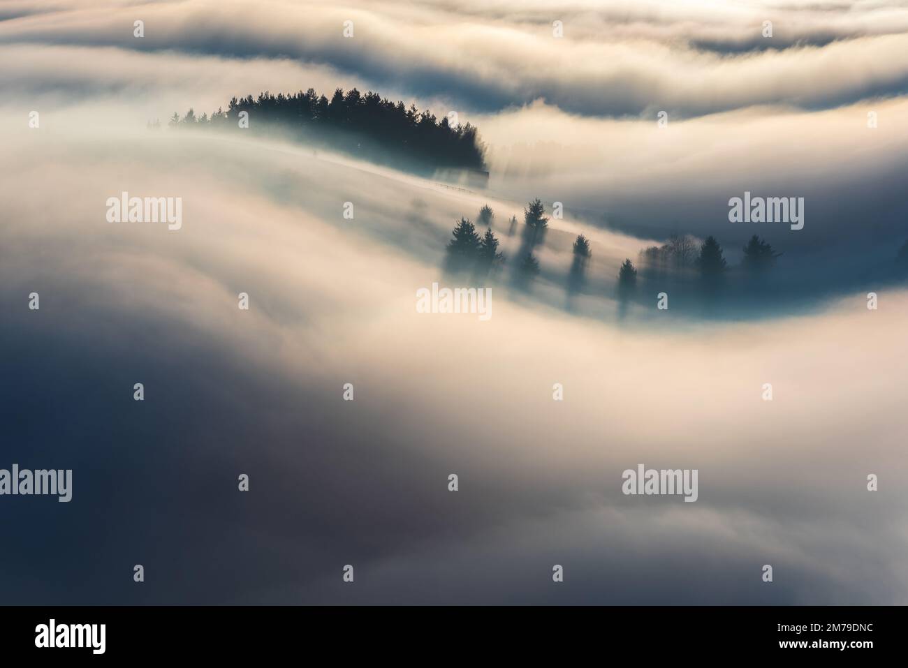 Beautiful landscape, amazing flowing morning fog whit sunbeam on ...