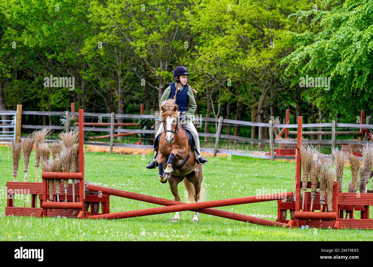 The 2017 Inchcoonans Equestrian Premier Competition Yard & Livery ...