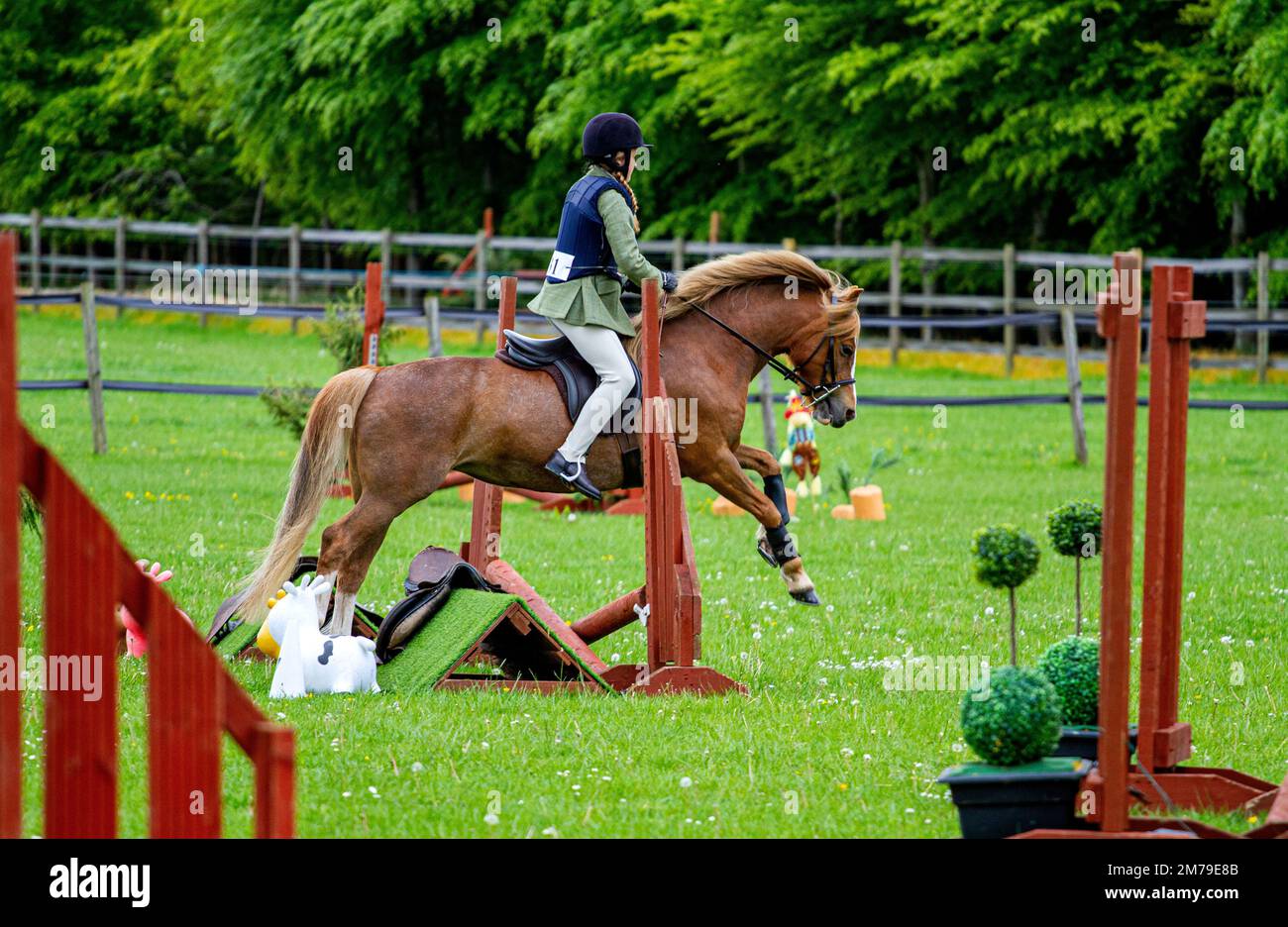 The 2017 Inchcoonans Equestrian Premier Competition Yard & Livery ...