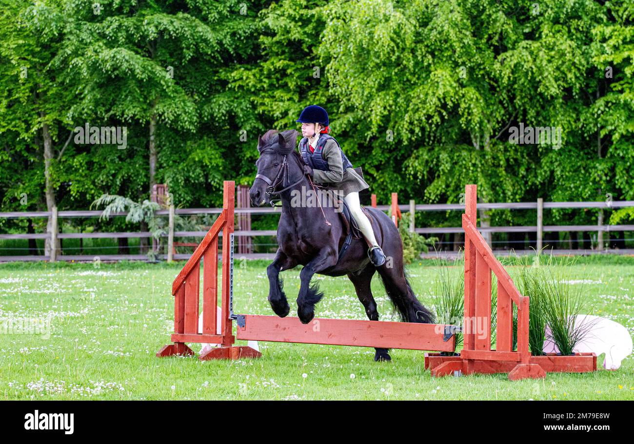 The 2017 Inchcoonans Equestrian Premier Competition Yard & Livery ...