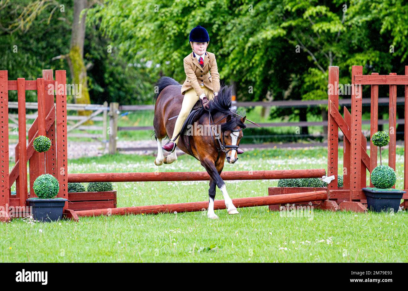 The 2017 Inchcoonans Equestrian Premier Competition Yard & Livery ...