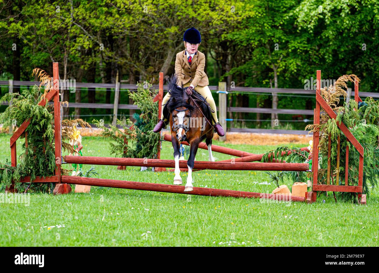 The 2017 Inchcoonans Equestrian Premier Competition Yard & Livery ...