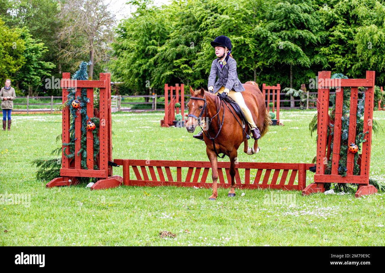 Livery facility hi-res stock photography and images - Alamy