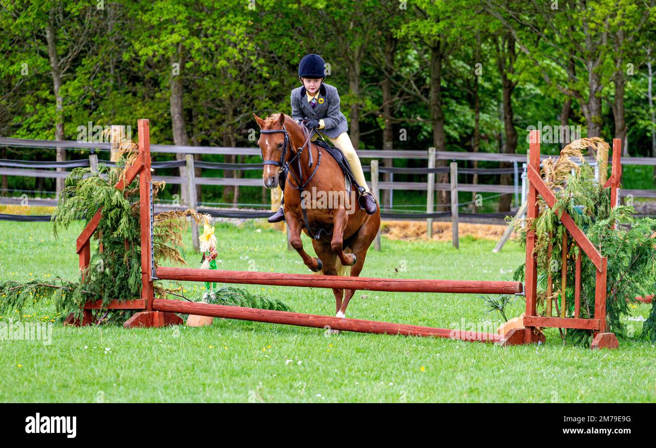 The 2017 Inchcoonans Equestrian Premier Competition Yard & Livery ...