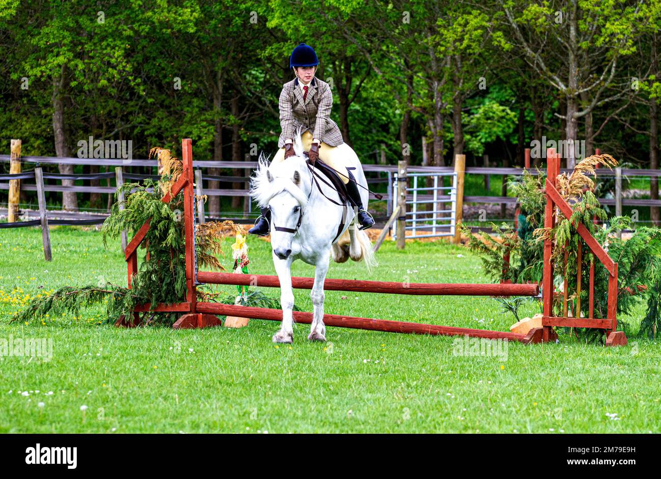 The 2017 Inchcoonans Equestrian Premier Competition Yard & Livery ...