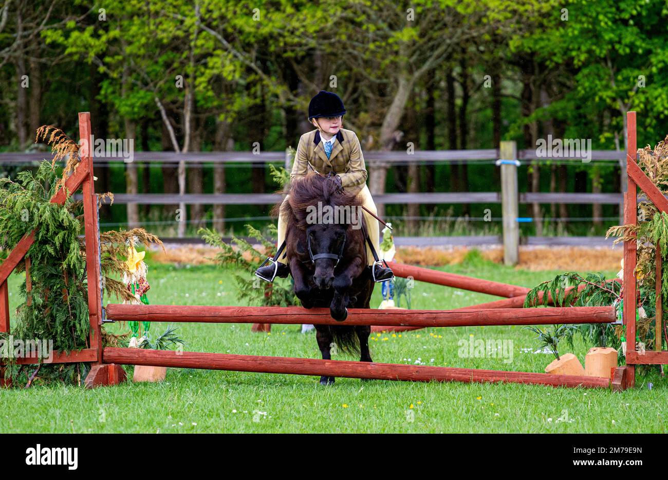 The 2017 Inchcoonans Equestrian Premier Competition Yard & Livery ...