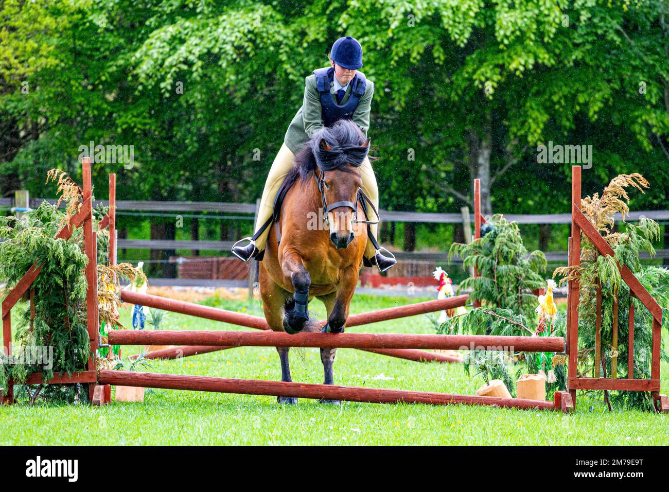 The 2017 Inchcoonans Equestrian Premier Competition Yard & Livery ...