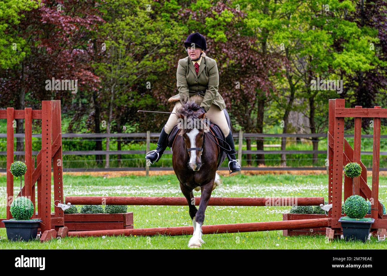 The 2017 Inchcoonans Equestrian Premier Competition Yard & Livery ...