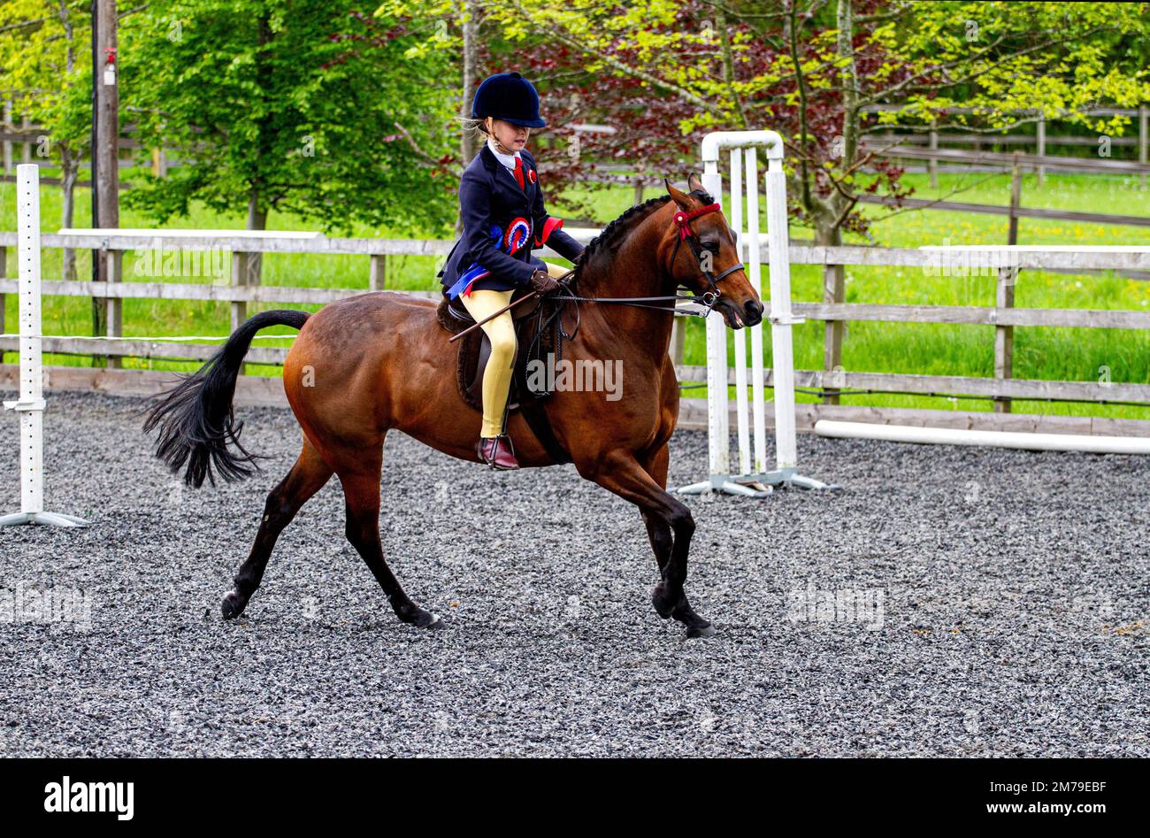The 2017 Inchcoonans Equestrian Premier Competition Yard & Livery ...