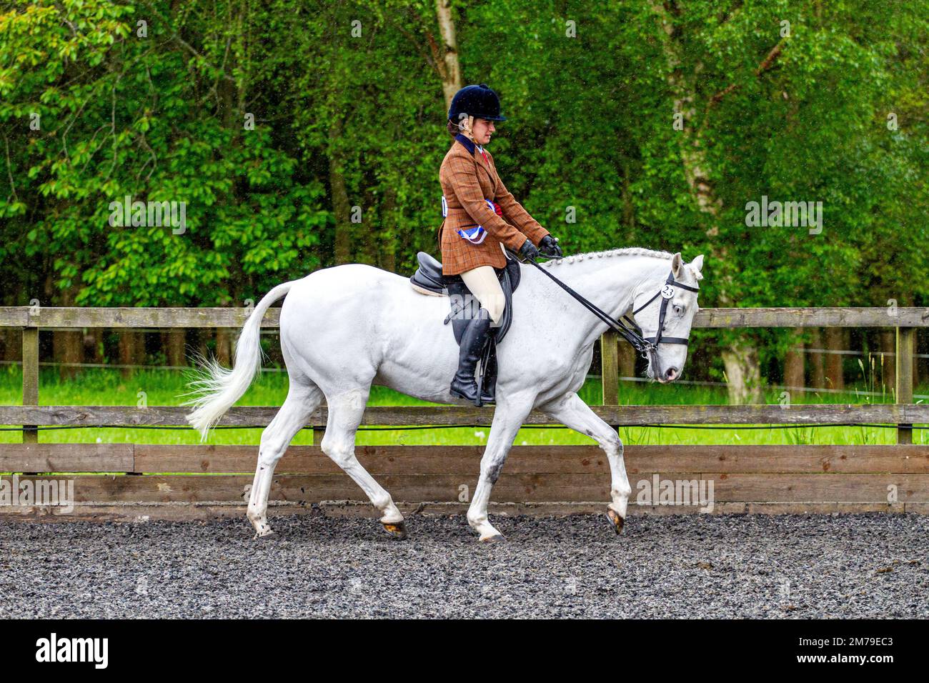 The 2017 Inchcoonans Equestrian Premier Competition Yard & Livery ...