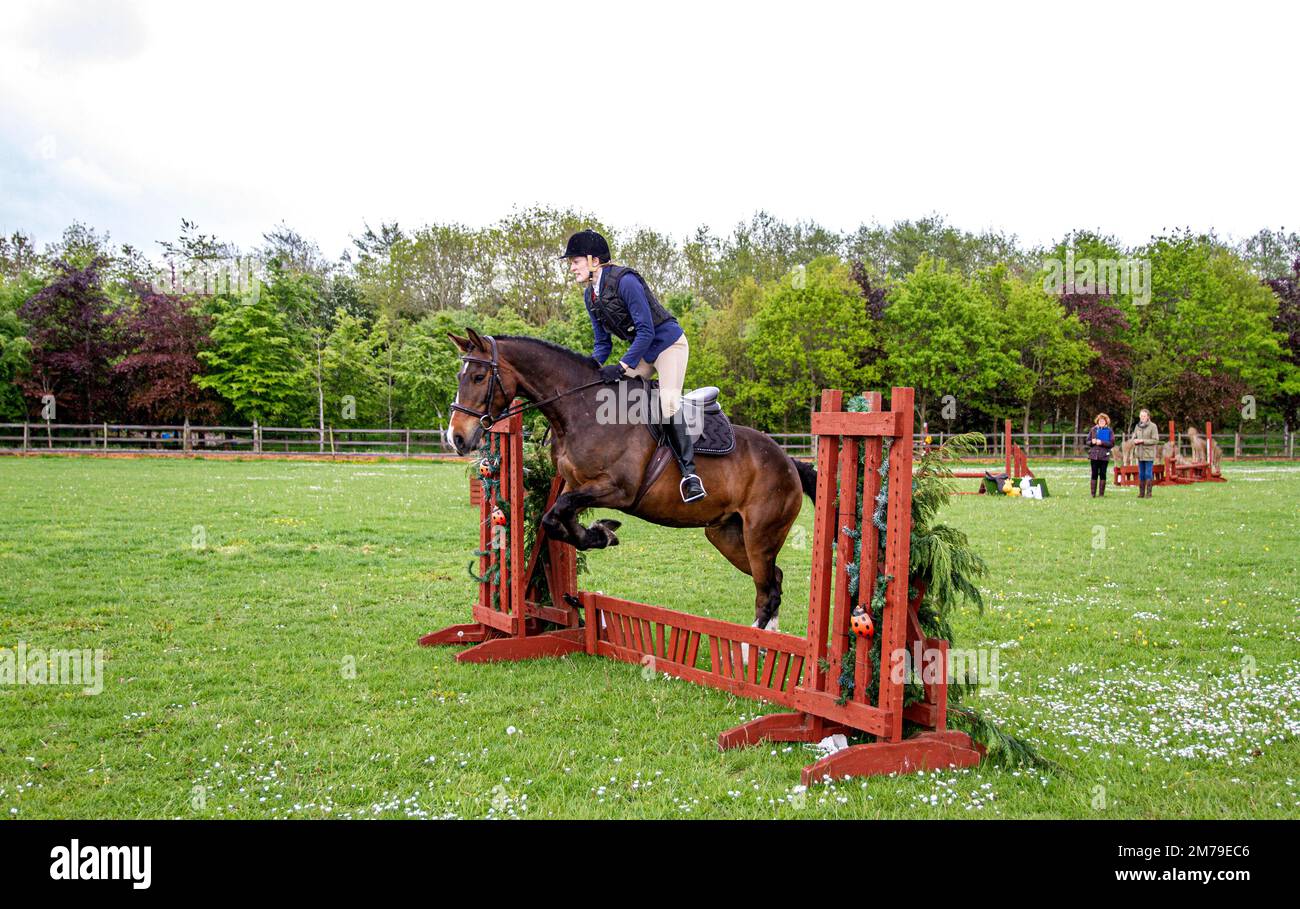 The 2017 Inchcoonans Equestrian Premier Competition Yard & Livery ...