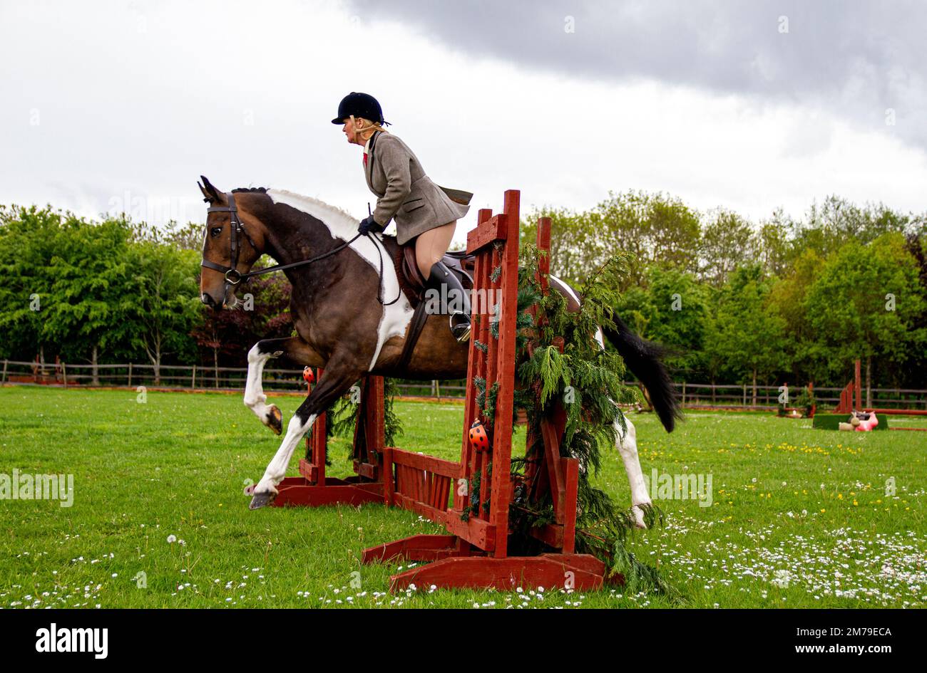The 2017 Inchcoonans Equestrian Premier Competition Yard & Livery ...
