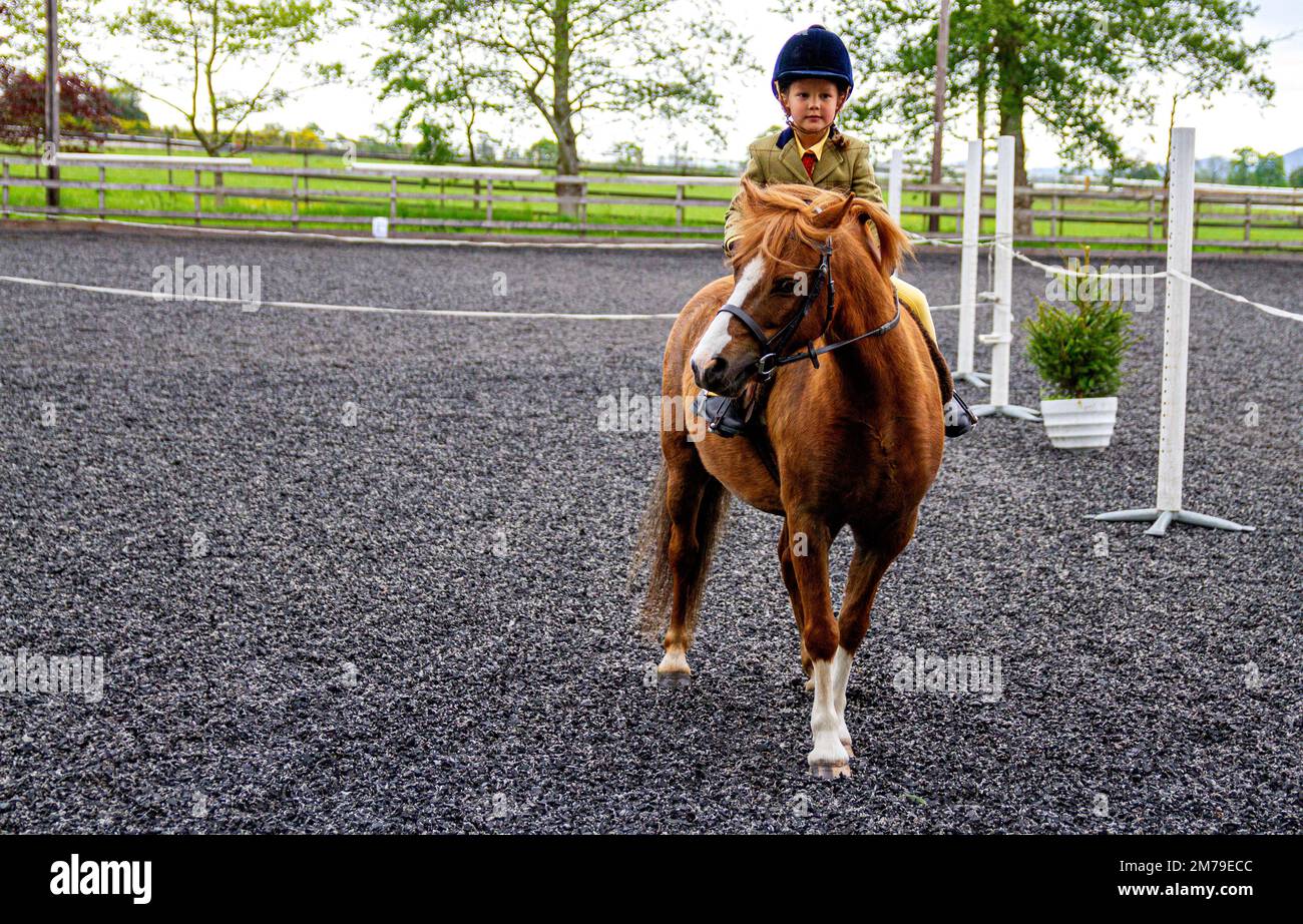 The 2017 Inchcoonans Equestrian Premier Competition Yard & Livery ...
