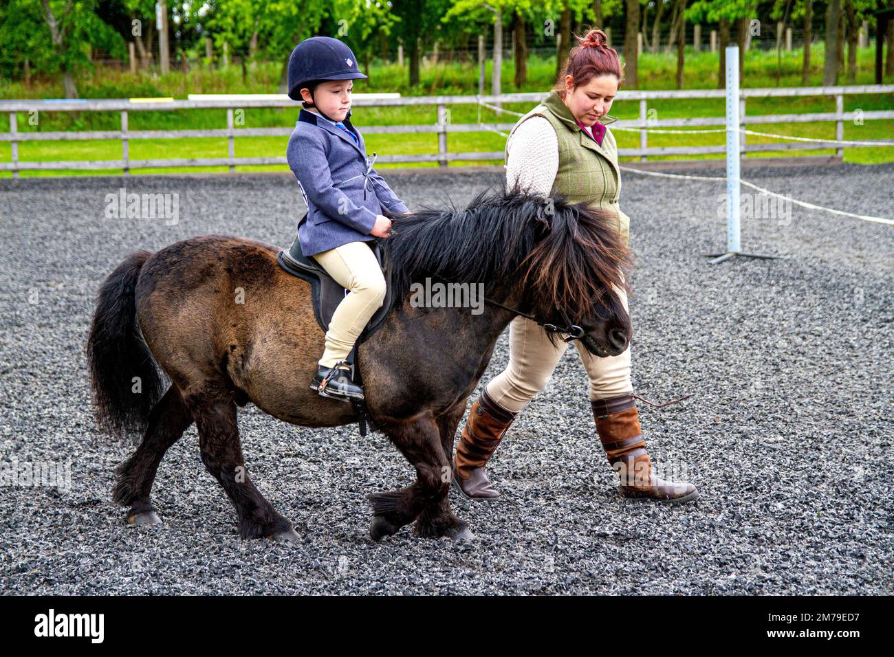 The 2017 Inchcoonans Equestrian Premier Competition Yard & Livery ...