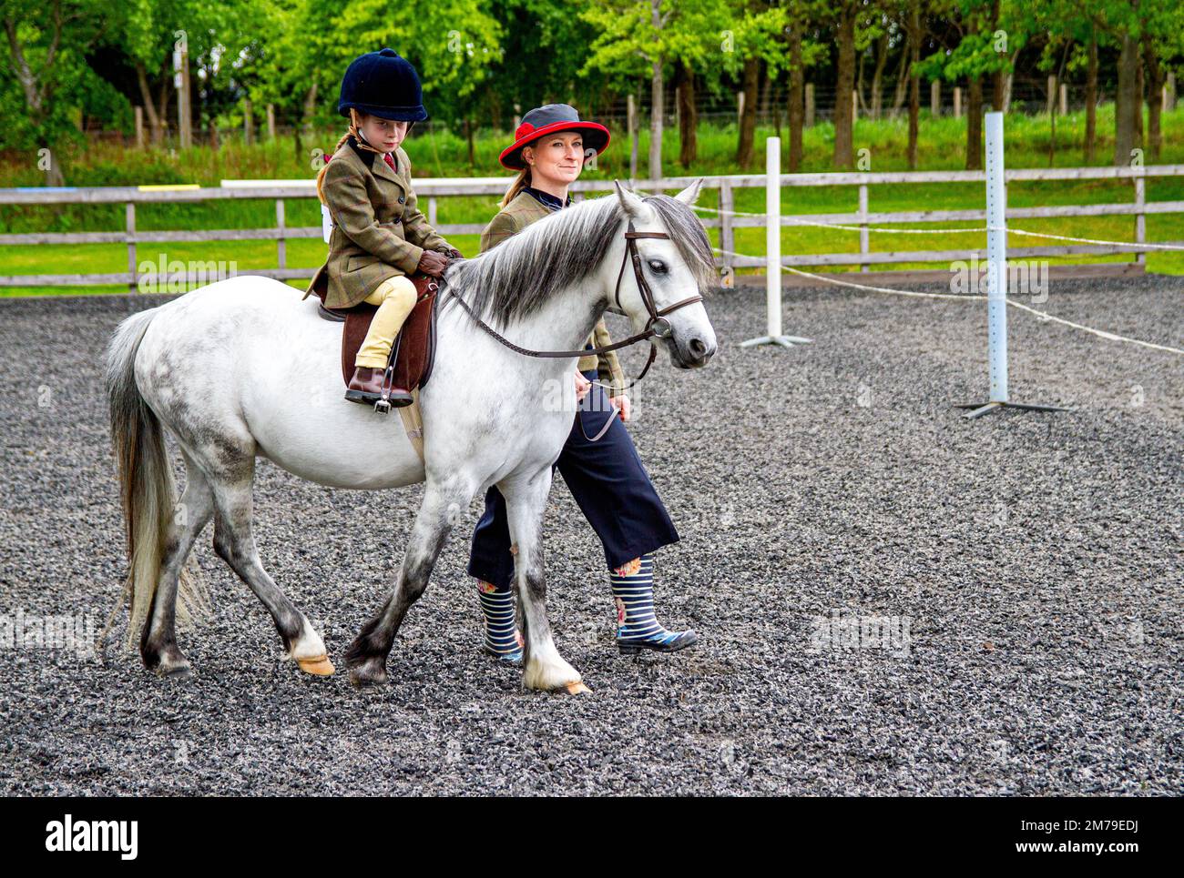 The 2017 Inchcoonans Equestrian Premier Competition Yard & Livery ...