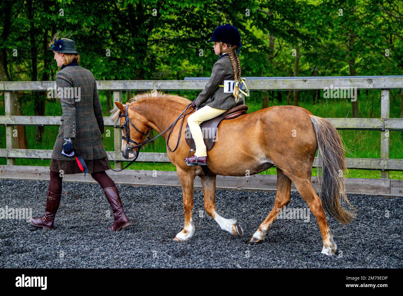 The 2017 Inchcoonans Equestrian Premier Competition Yard & Livery ...