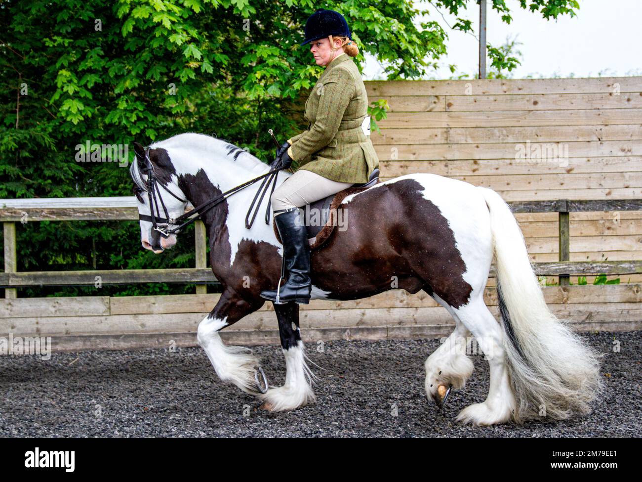 The 2017 Inchcoonans Equestrian Premier Competition Yard & Livery ...