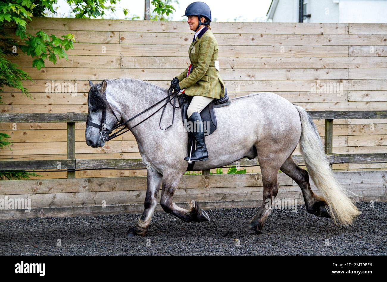 The 2017 Inchcoonans Equestrian Premier Competition Yard & Livery ...