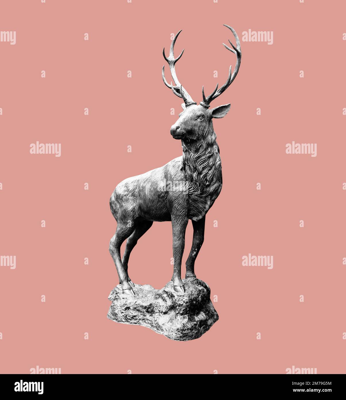 Beautiful and traditional british Deer Stag bronze, or alloy statue or ...