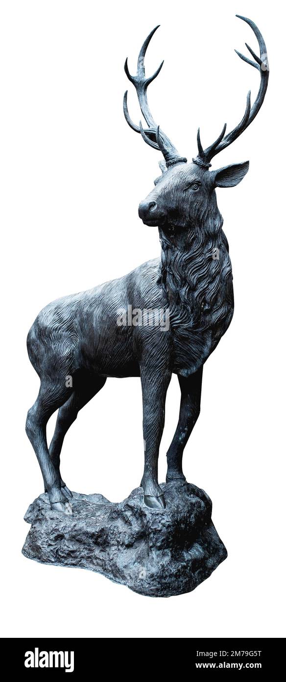 Beautiful and traditional british Deer Stag bronze, or alloy statue or ...