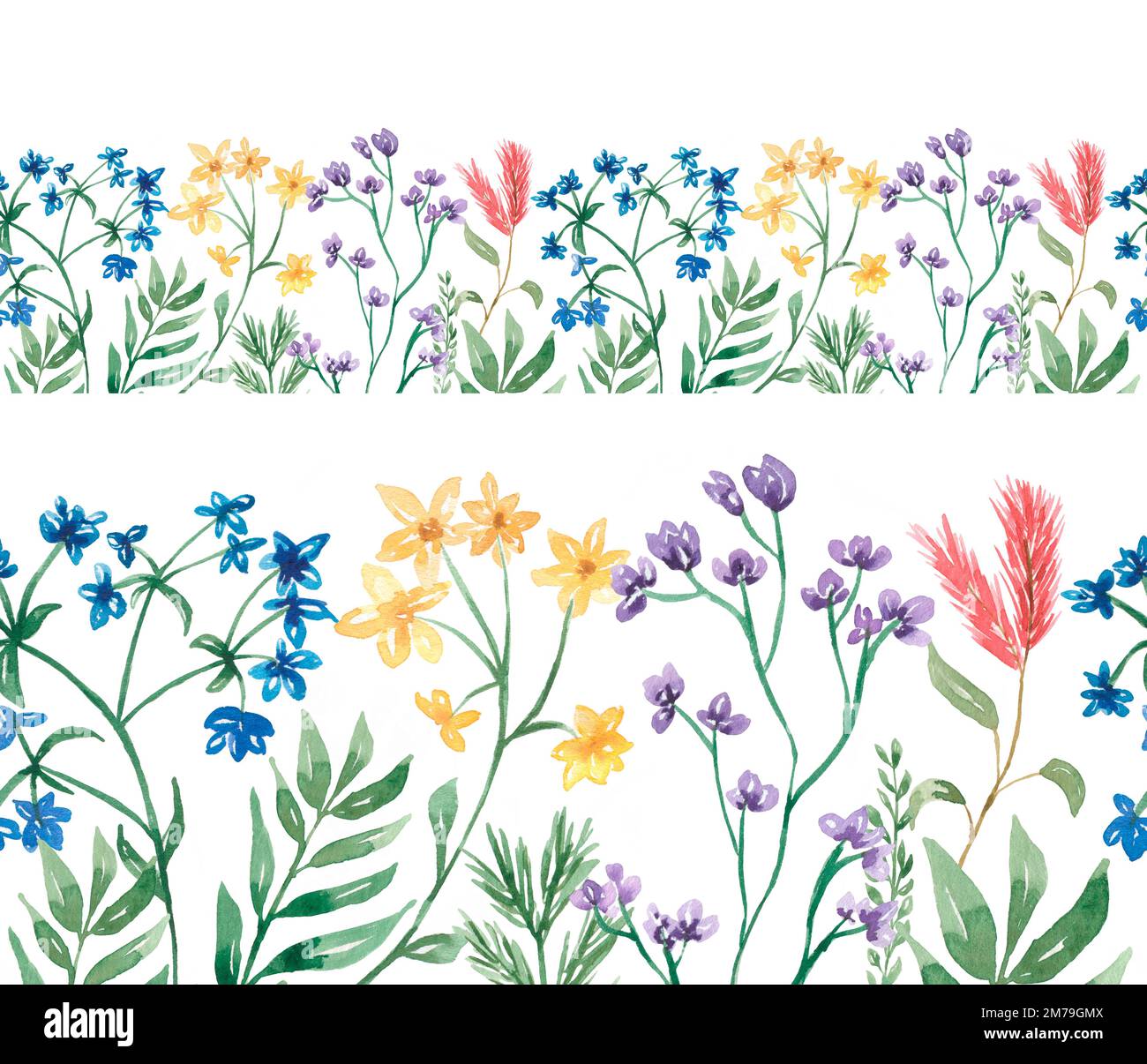 Hand drawn watercolor wildflowers seamless border illustration ...