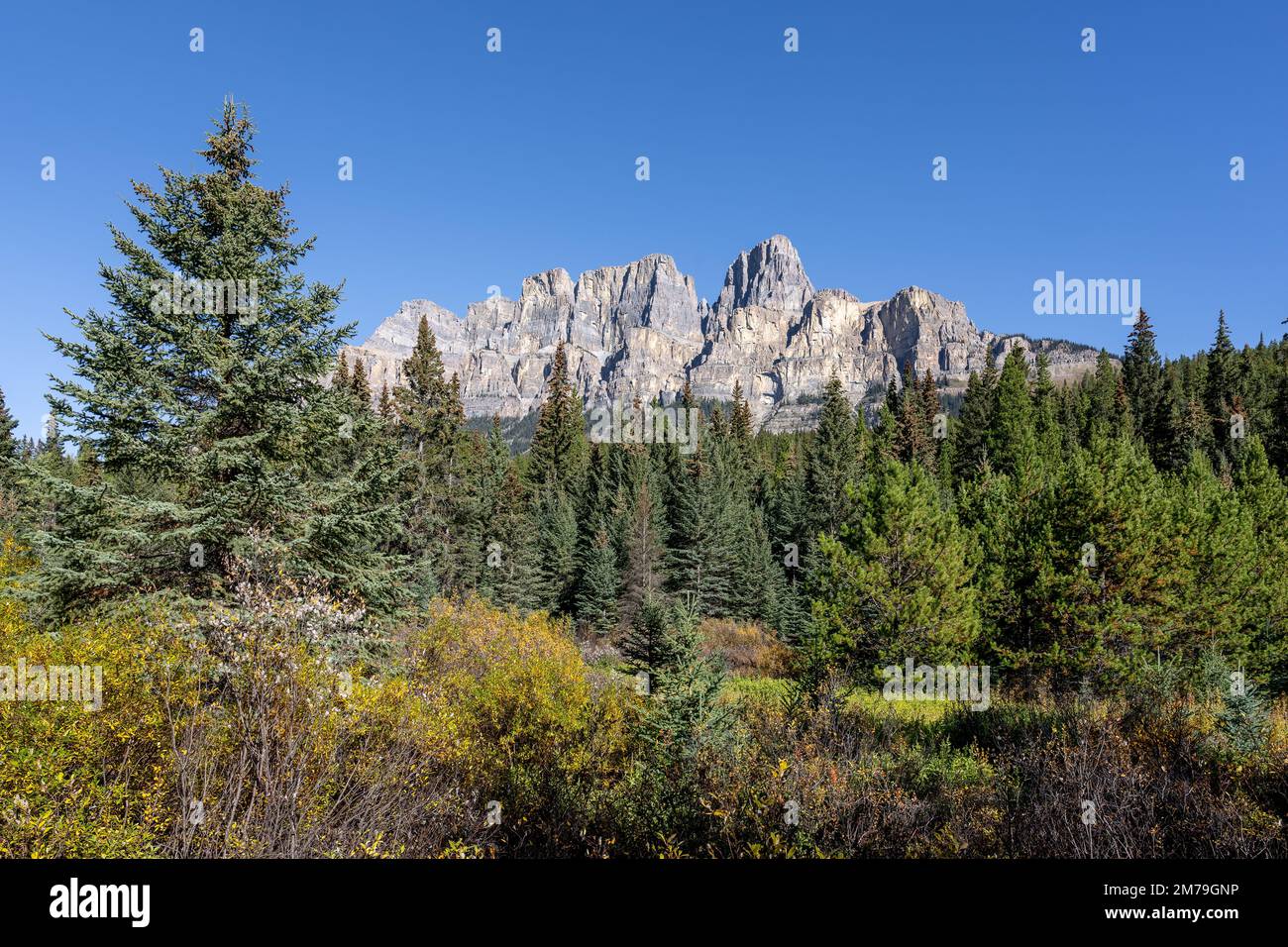 A sunny view of Castle Mountain in Banff National Park Stock Photo - Alamy