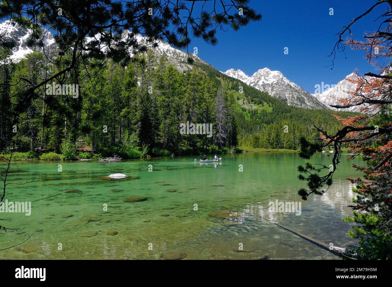 USA, Rocky Mountains, Wyoming, Grand Teton, National Park,Biosphere ...