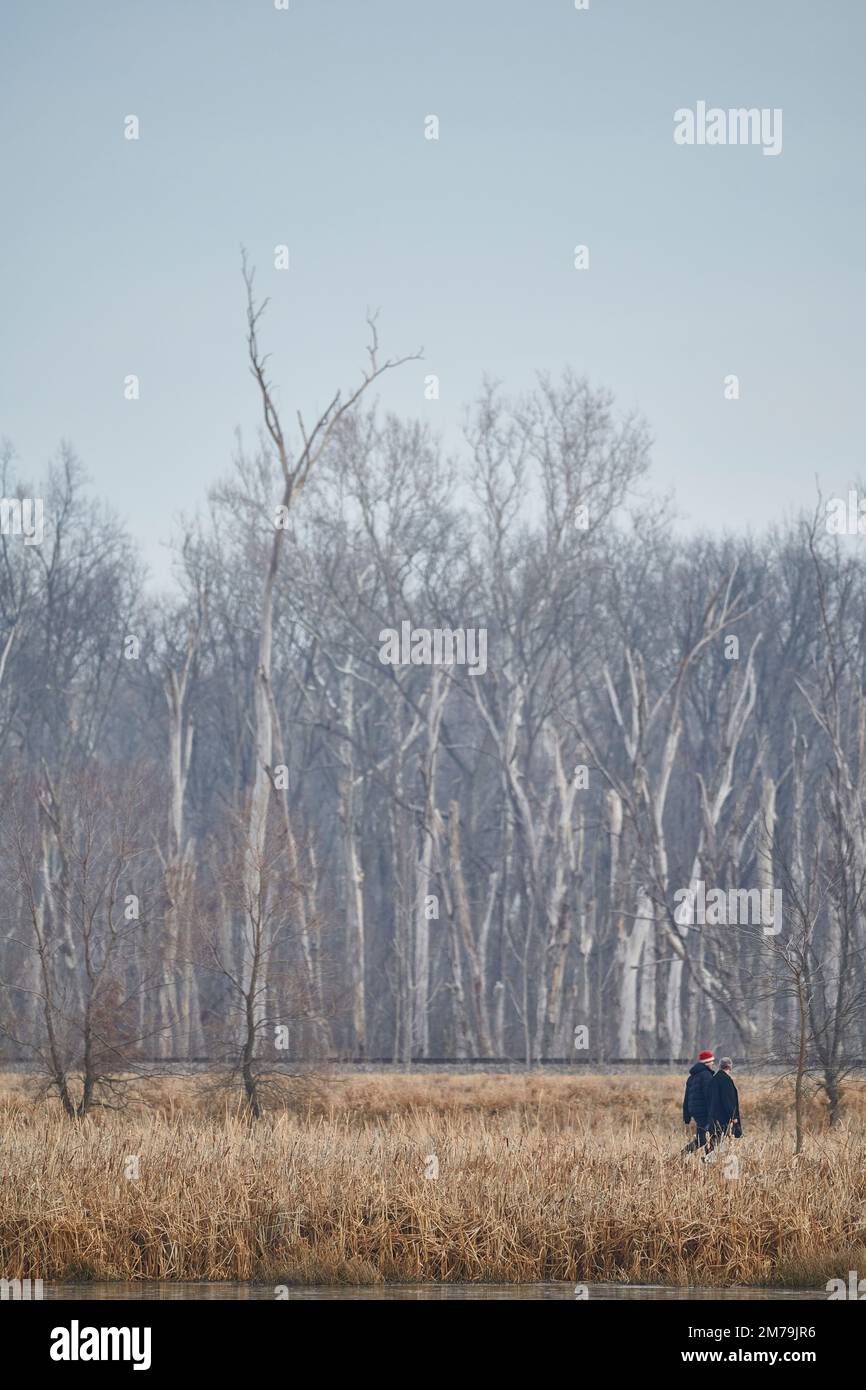 Federally Protected Marsh Land Stock Photo - Alamy