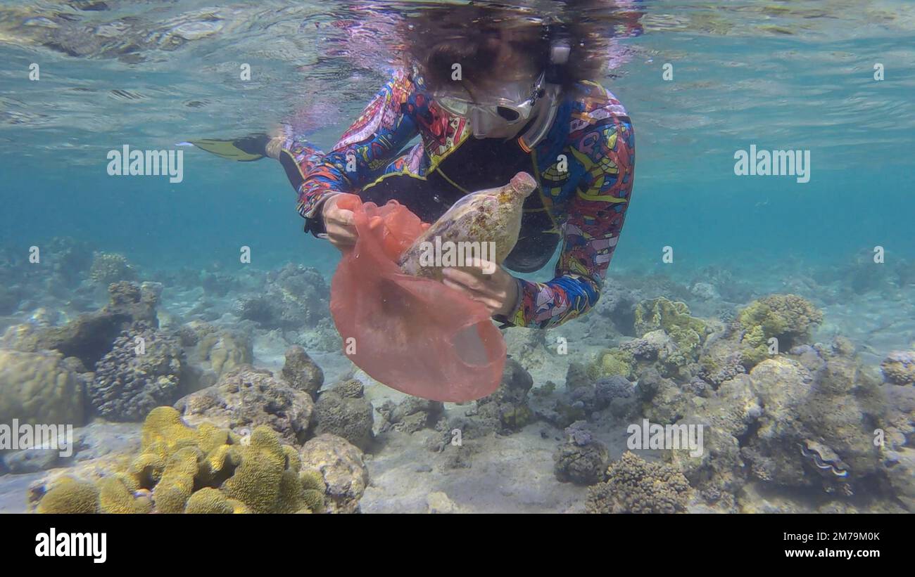 Woman in diving equipment swims and collects plastic debris underwater ...