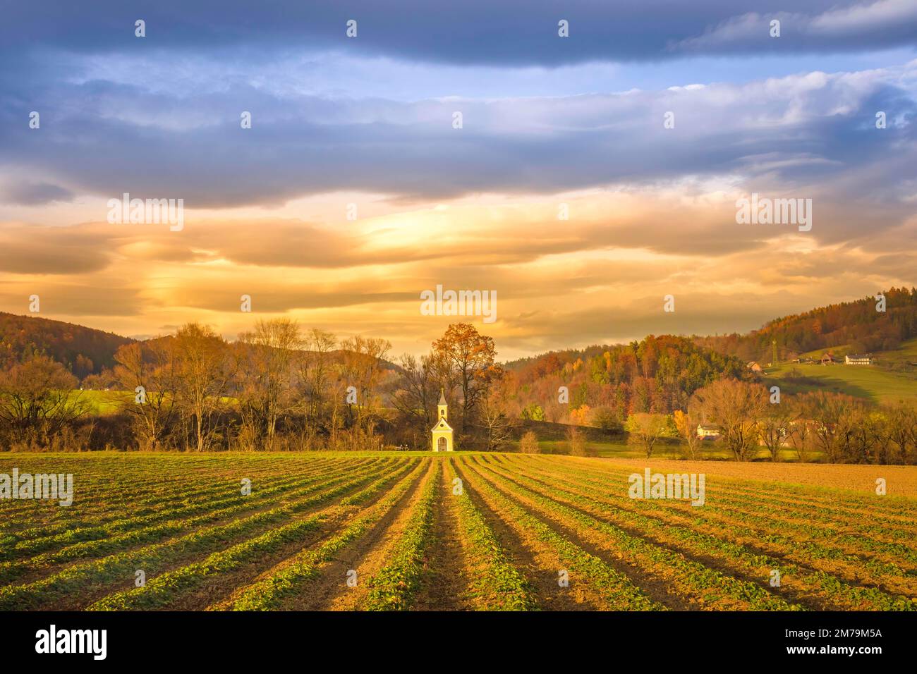 Agricultural fields and yellow little chapel in the charming town of ...