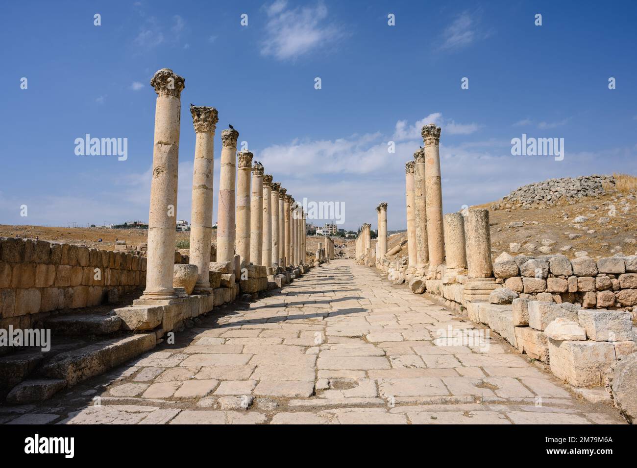 South Decumanus Colonnaded Roman Street in Ancient Gerasa, Jerash ...