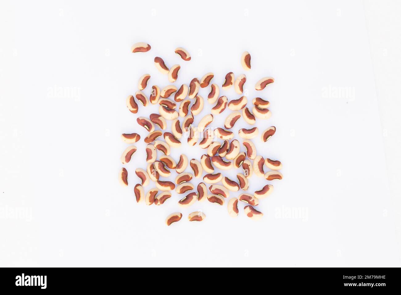 Pile of dry long bean seeds on white background Stock Photo - Alamy
