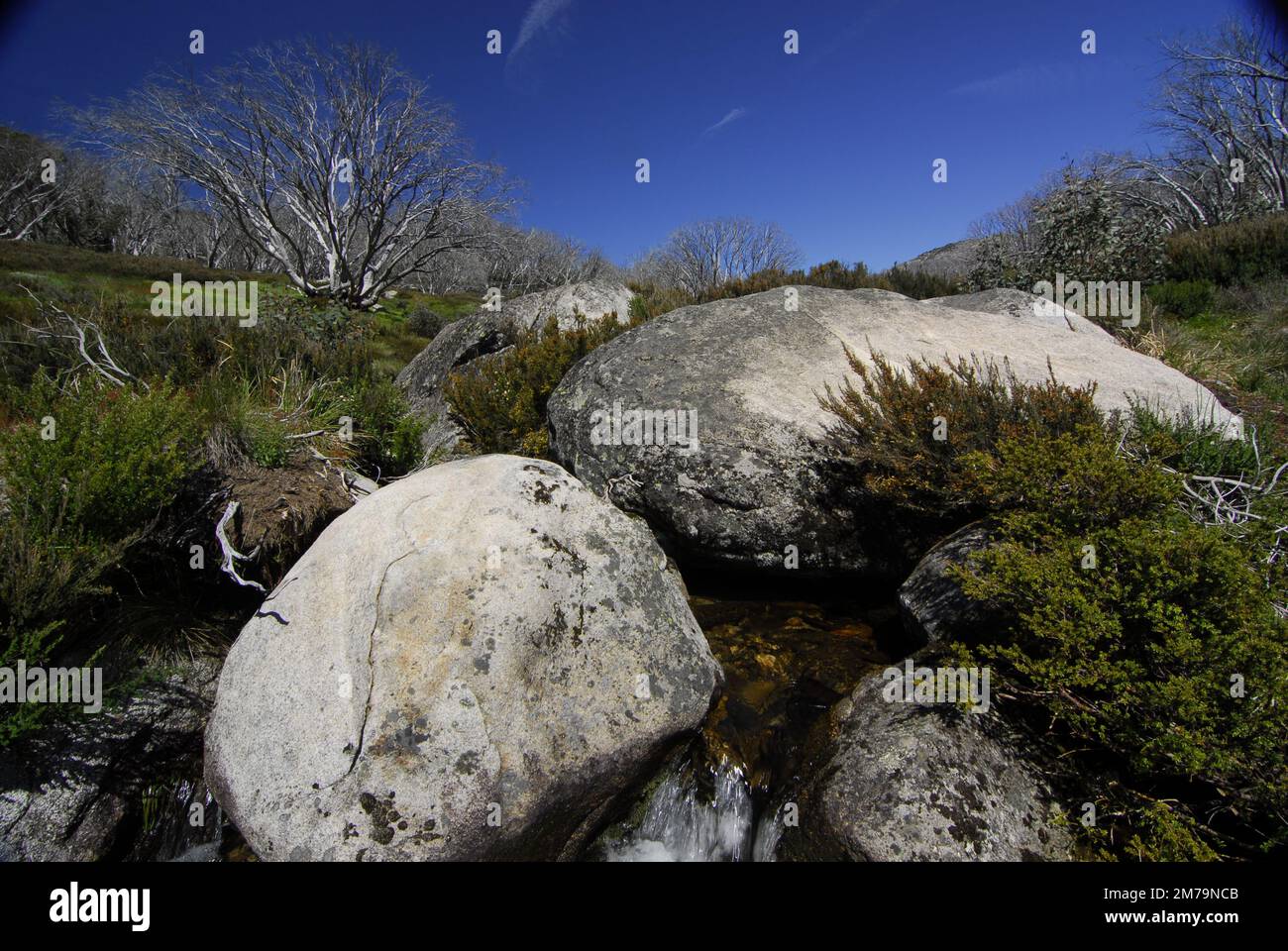 A tiny alpine creek with large granite boulders on the Bogong High ...