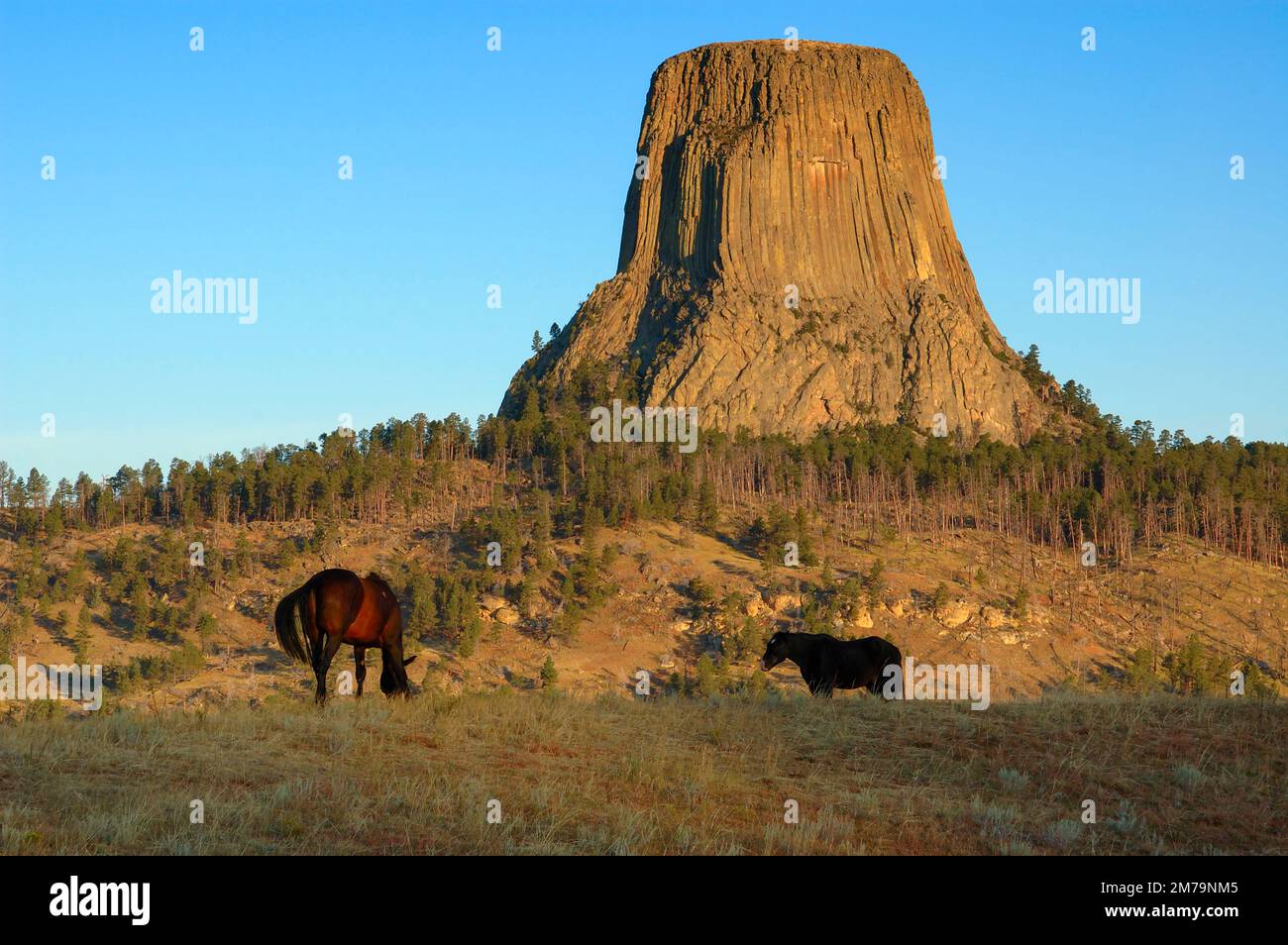 USA, Wyoming, Great Plains, Crook County, Devils Tower, National ...