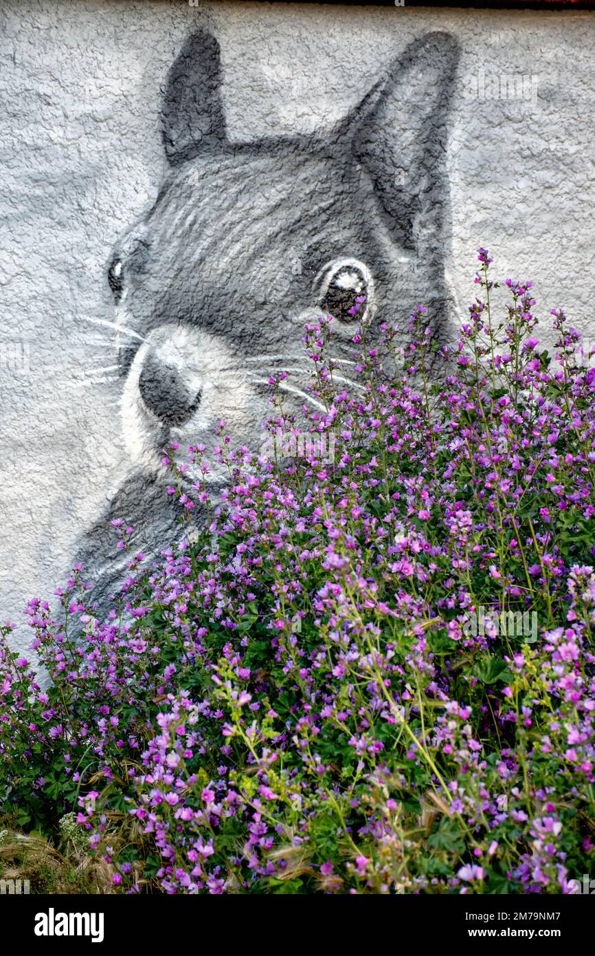 Graffiti de animales hi-res stock photography and images - Alamy