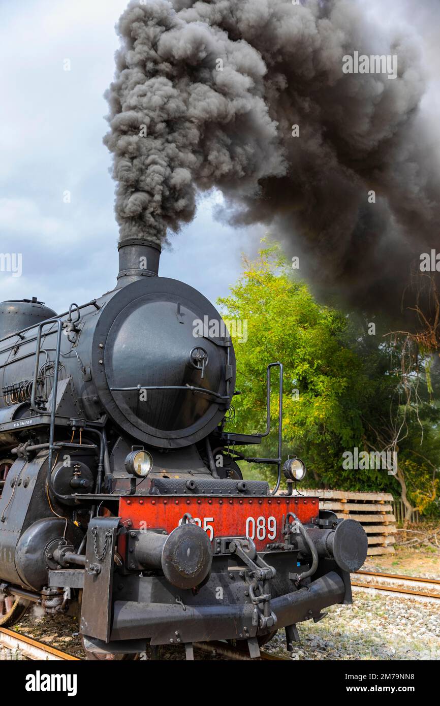 Black smoke pours out of the historic steam locomotive, Treno Natura ...