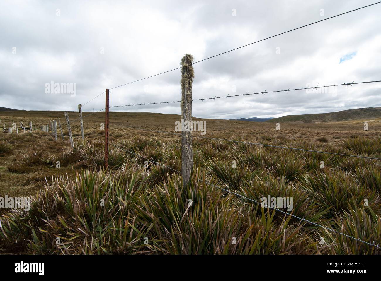 Open plain hi-res stock photography and images - Alamy