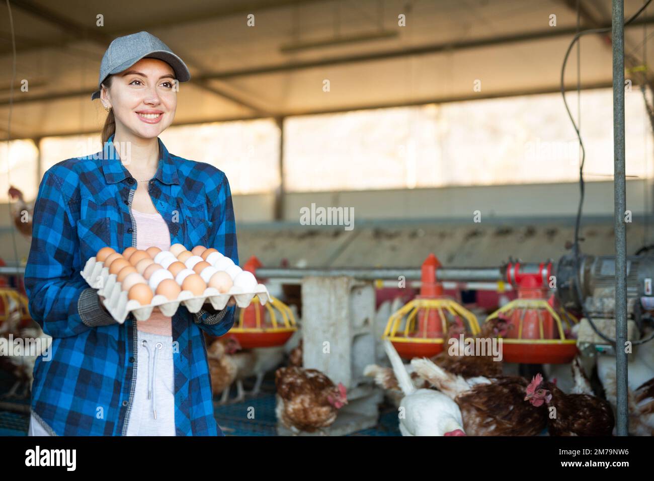 Successful female poultry farm owner holding carton tray of eggs Stock ...