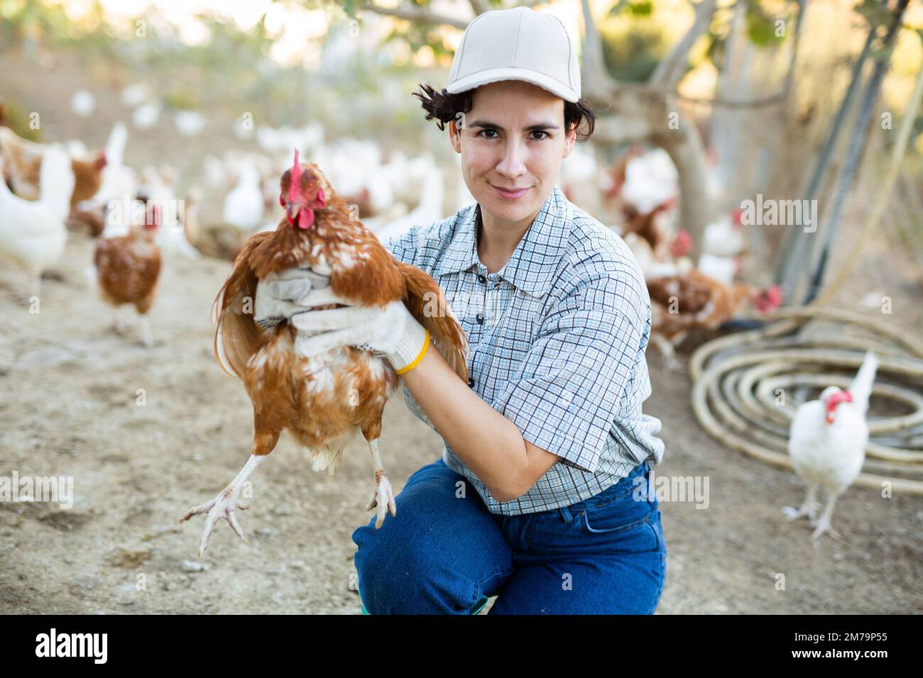 Female farmer holding chicken in poultry farm Stock Photo - Alamy