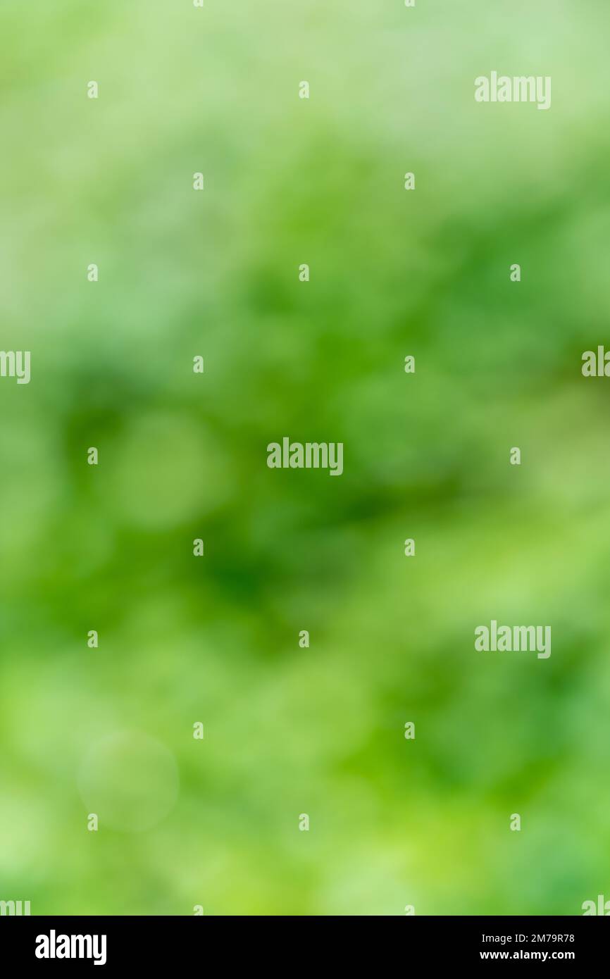Abstract nature hi-res stock photography and images - Alamy