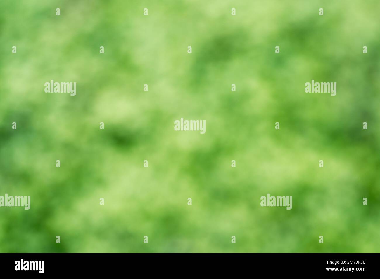 Spring background - abstract nature background with green blurred bokeh ...