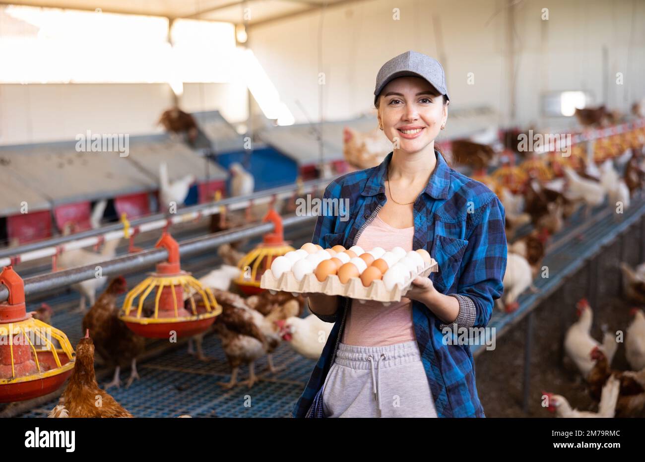 Successful female poultry farm owner holding carton tray of eggs Stock ...
