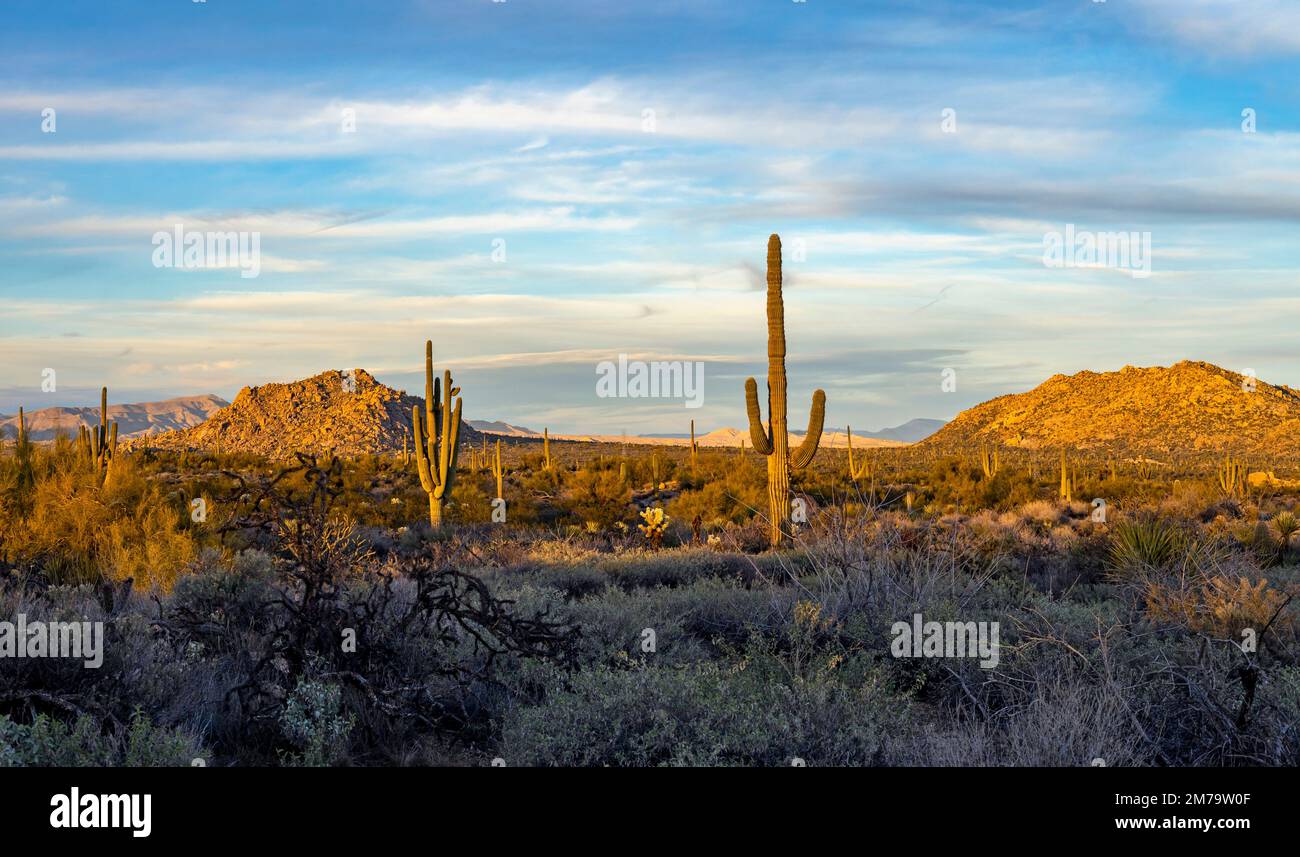 Wide ratio hi-res stock photography and images - Alamy