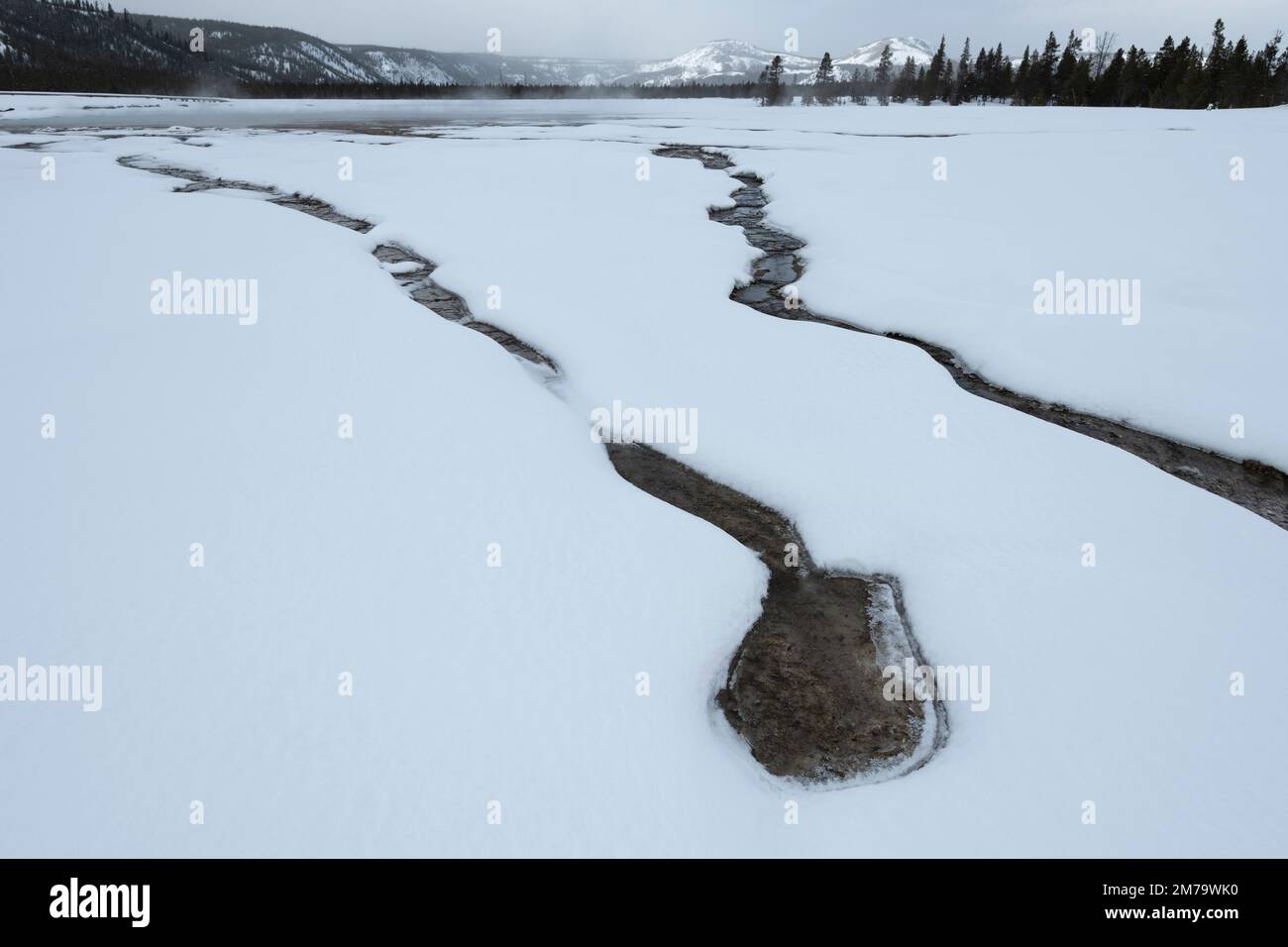 USA, Rocky Mountains, Wyoming,Yellowstone National Park, winter scene ...