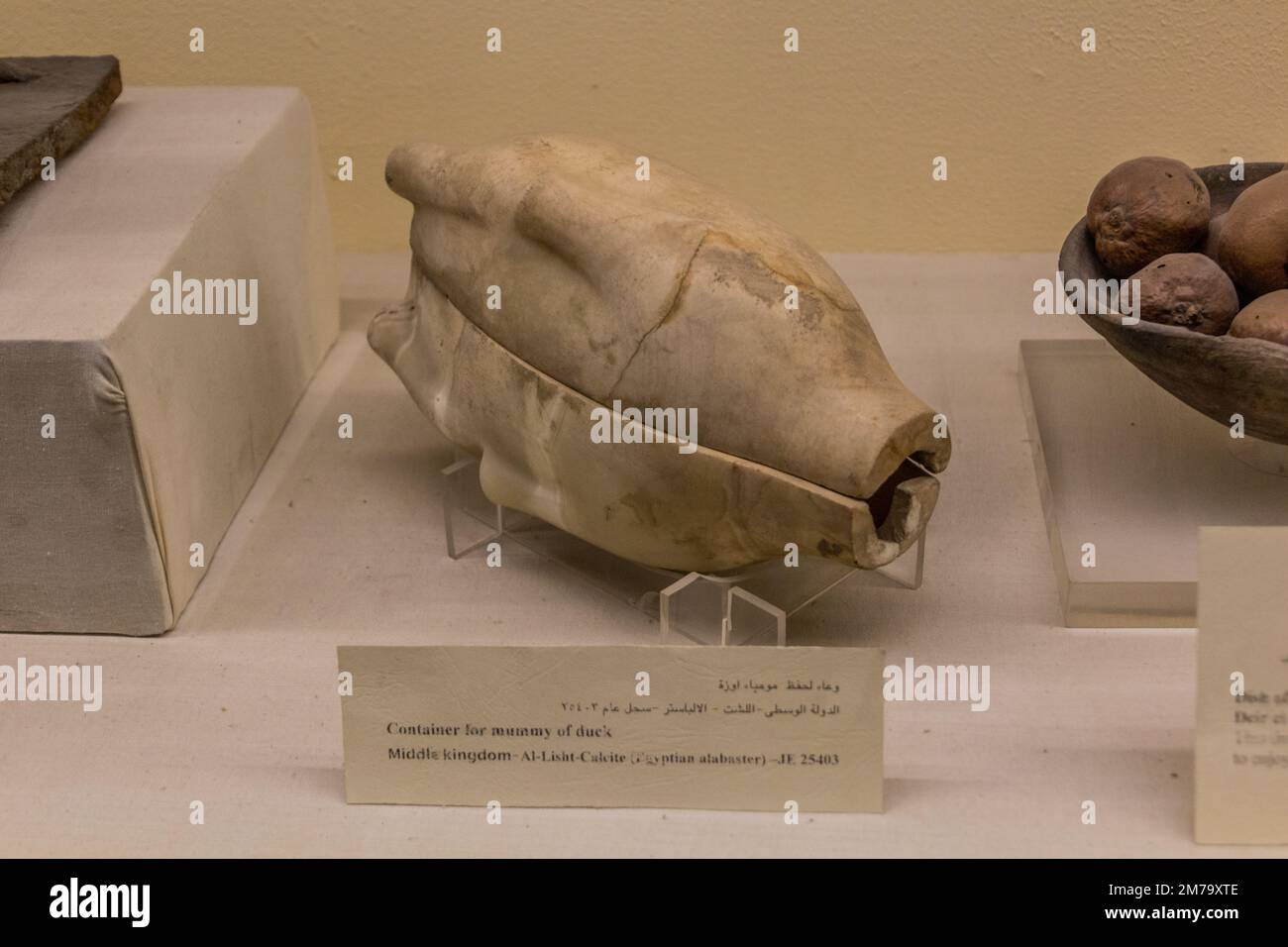 CAIRO, EGYPT - JANUARY 27, 2019: Duck mummy container in the Egyptian ...